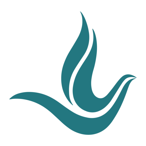 Página gracias - ZIU University